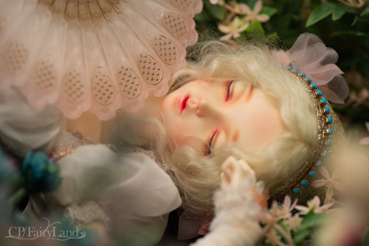 FeePle60 Momo Full Package (Romantic Momo) – CP/FairyLand