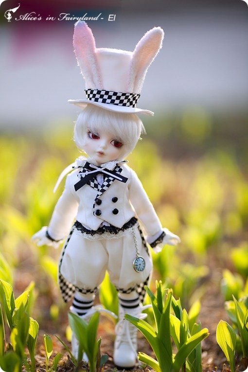 LittleFee El Full Package (Gentle Rabbit) – CP/FairyLand