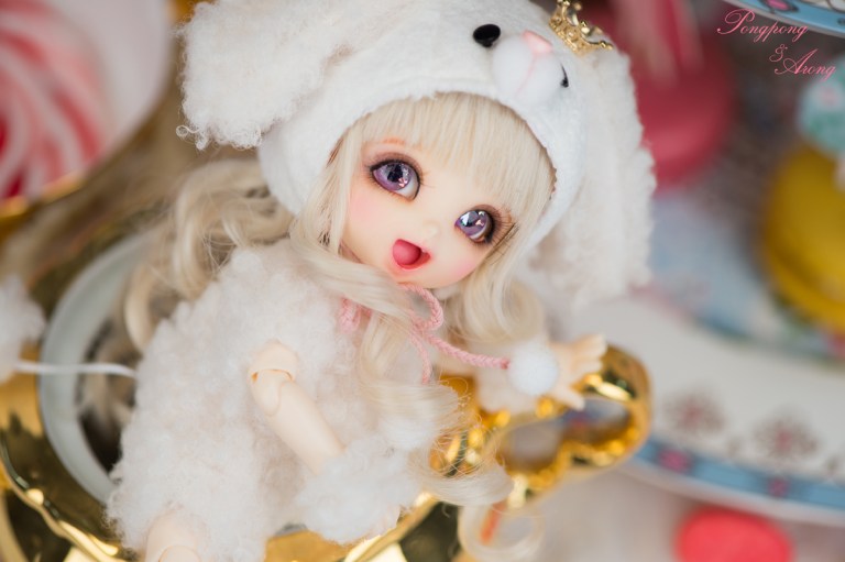 pukiFee Pongpong Full Package(Dear My Puppy) – CP/FairyLand