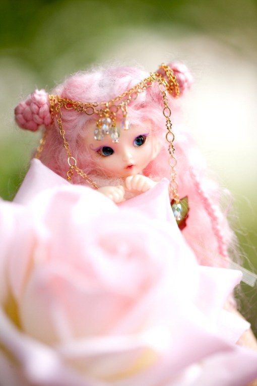 Realpuki Roro Full Package (Shining Light) – CP/FairyLand