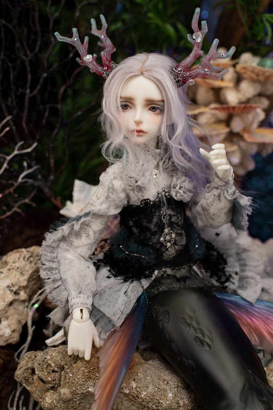 Fl Akis 11 Cp Fairyland