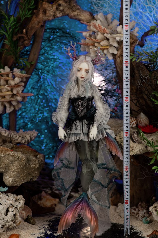 FairyLine Akis Full Option Package (Deep sea mermaid) – CP/FairyLand