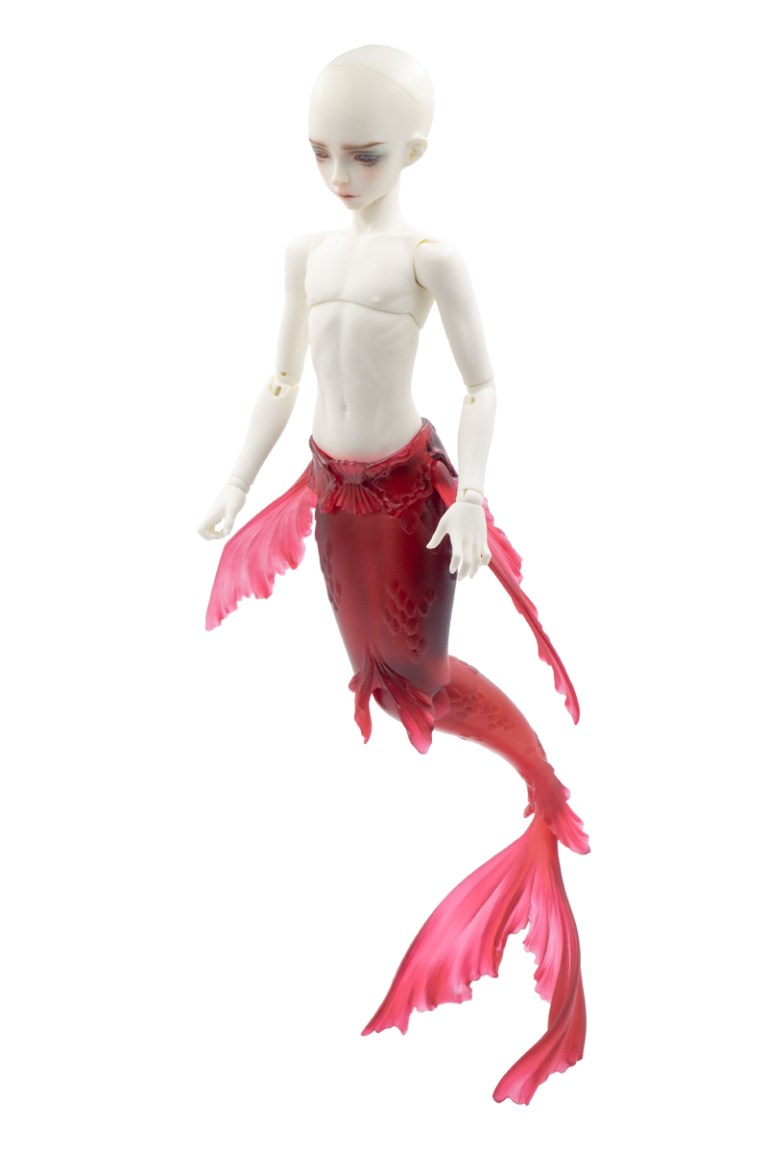 FairyLine Akis Full Option Package (Deep sea mermaid) – CP/FairyLand